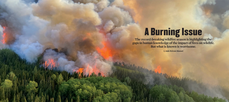 ON Nature - Ontario's award-winning environmental magazine