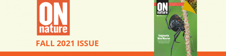 Fall 2021 - ON Nature Magazine