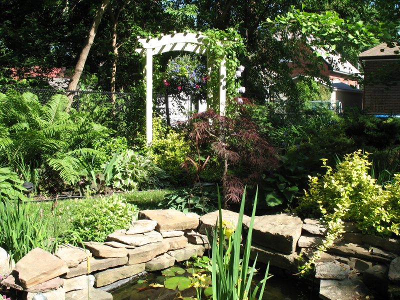 Backyard Habitats Guide - ON Nature Magazine