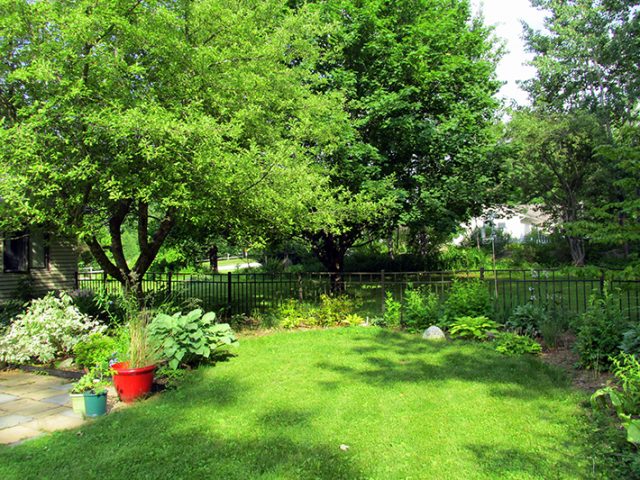 Backyard Habitats Guide - ON Nature Magazine